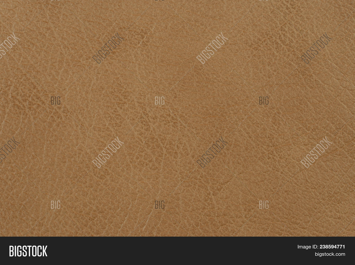Light Brown Leather Image & Photo (Free Trial) | Bigstock