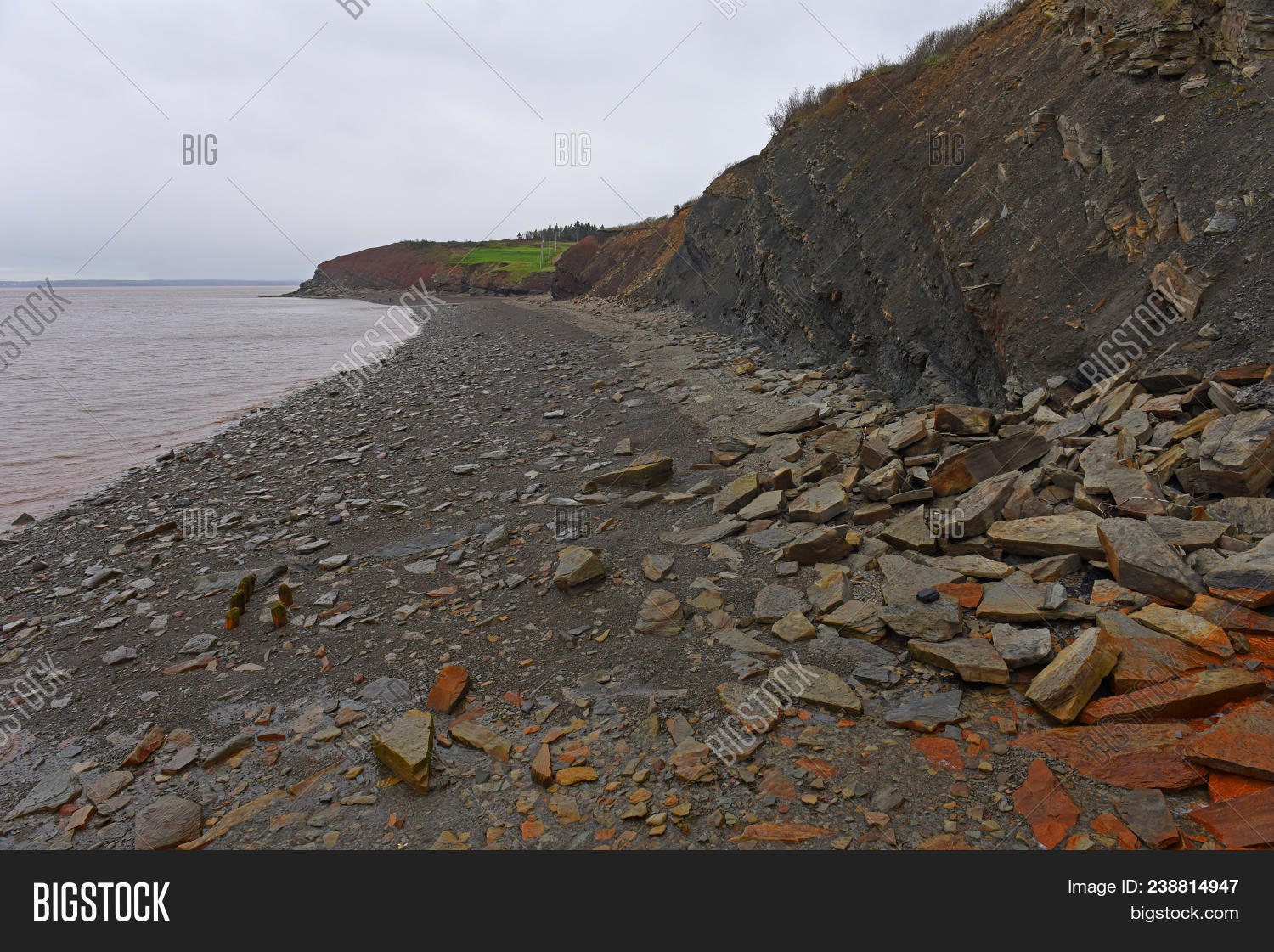 Joggins Fossil Cliffs Image & Photo (Free Trial) | Bigstock