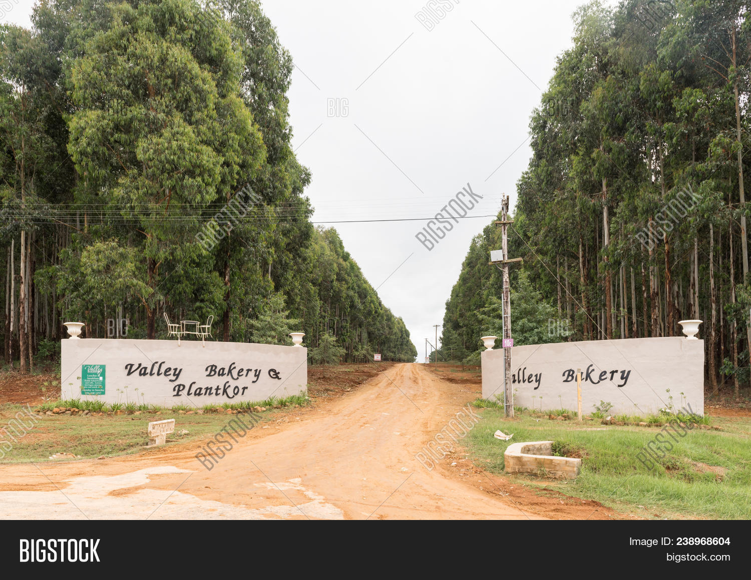 Monks Cowl, South Image & Photo (Free Trial) | Bigstock