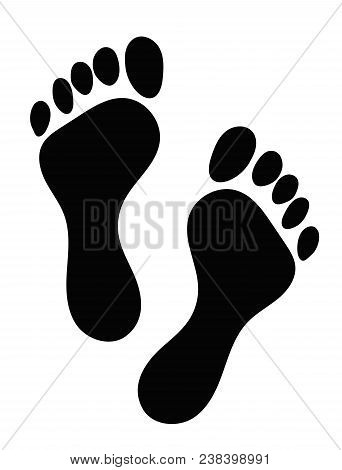 Print Human Foots. Vector & Photo (Free Trial) | Bigstock