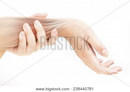 Forearm Muscle Injury Image & Photo (Free Trial) | Bigstock