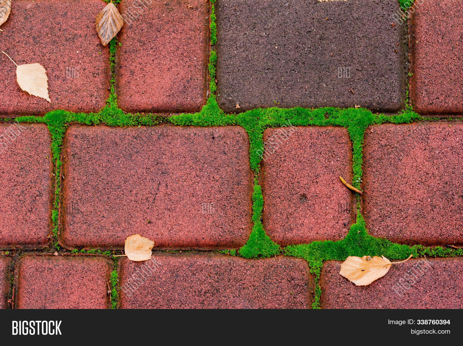 Red Tile Paths Green Image & Photo (Free Trial) | Bigstock