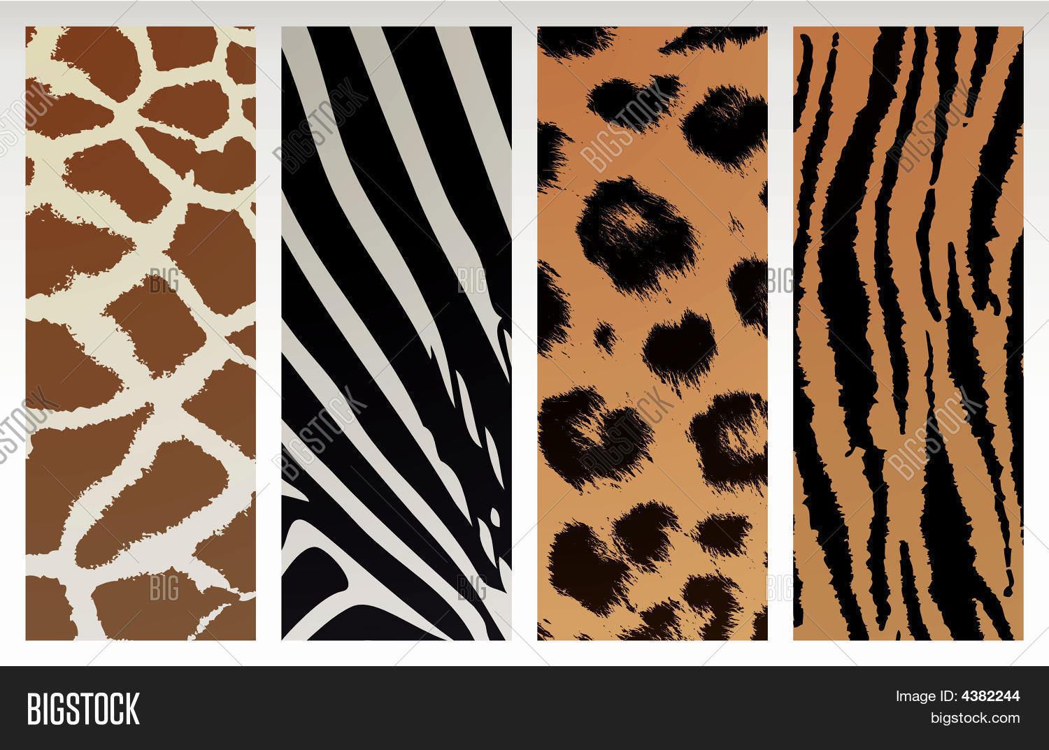 Animal Print Vector & Photo (Free Trial) | Bigstock