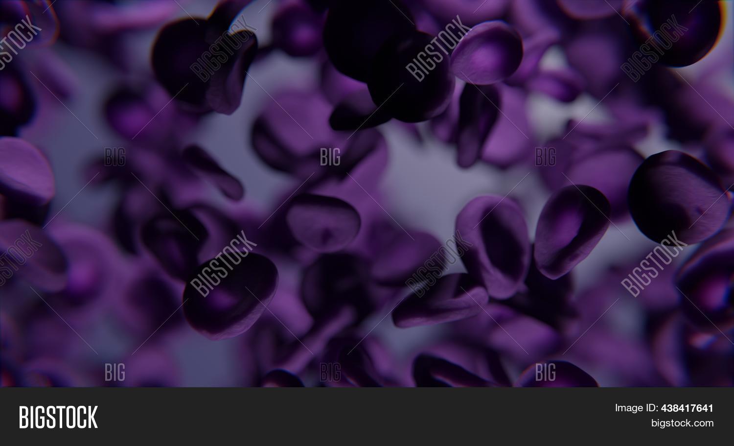 Purple Blood Cells Image & Photo (Free Trial) | Bigstock