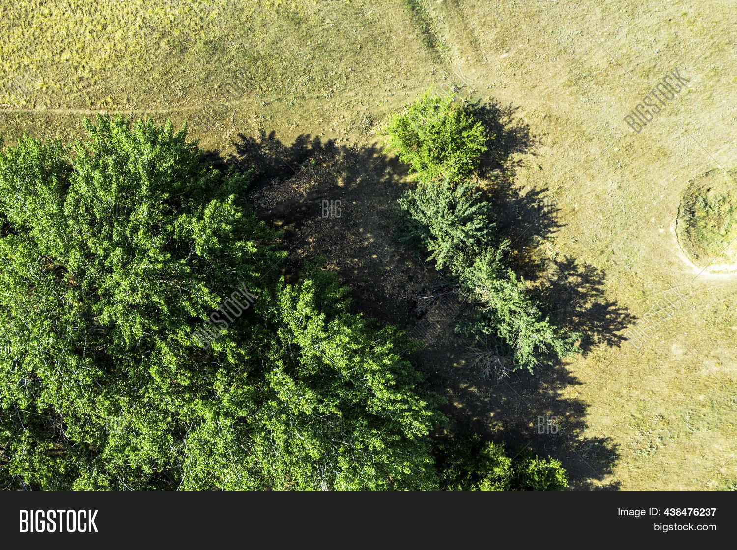Steppe Landscape Trees Image & Photo (Free Trial) | Bigstock