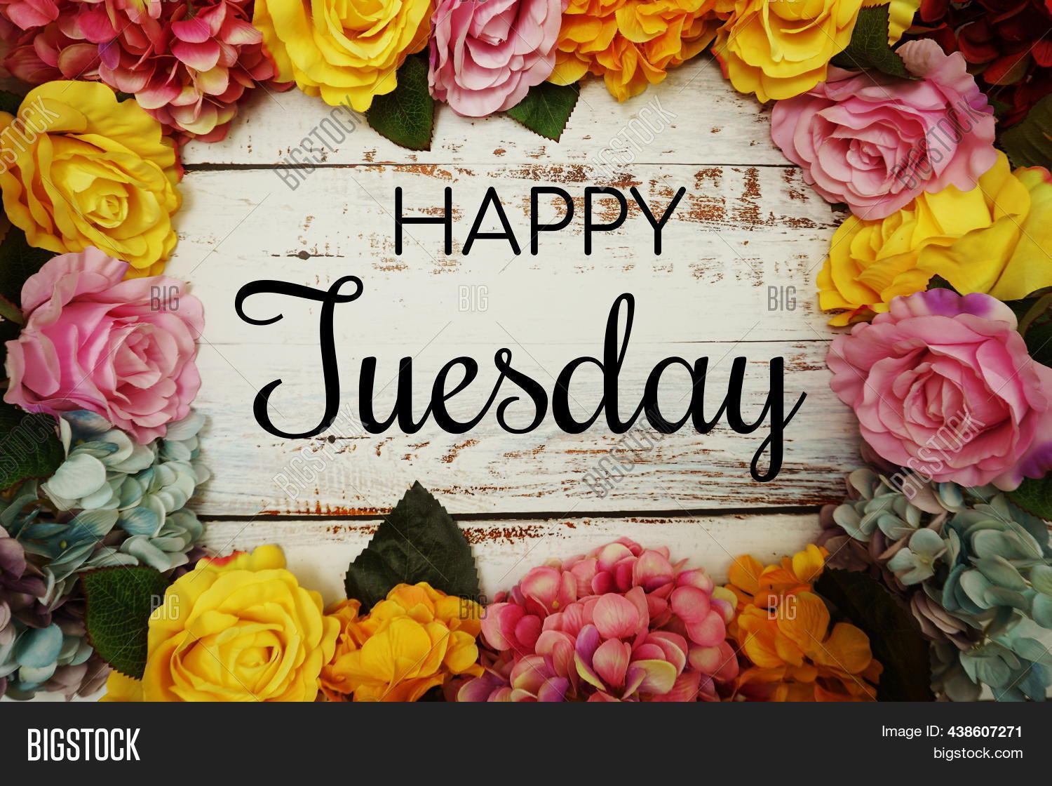 Happy Tuesday Text Image & Photo (Free Trial) | Bigstock