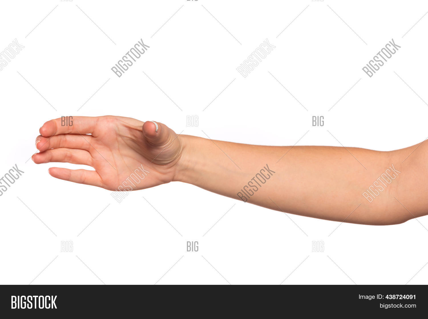 Female Hand Isolated Image & Photo (Free Trial) | Bigstock