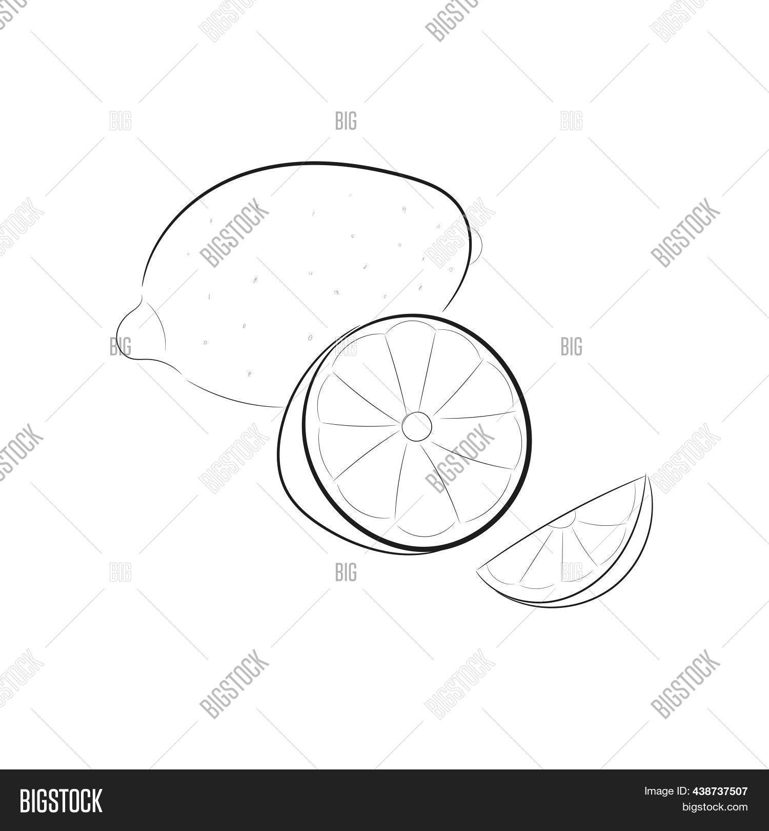 Black Lemon Hand Drawn Image & Photo (Free Trial) | Bigstock