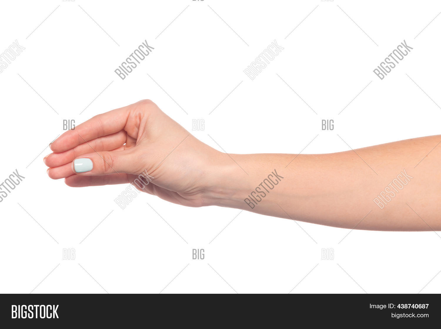 Female Hand Isolated Image & Photo (Free Trial) | Bigstock