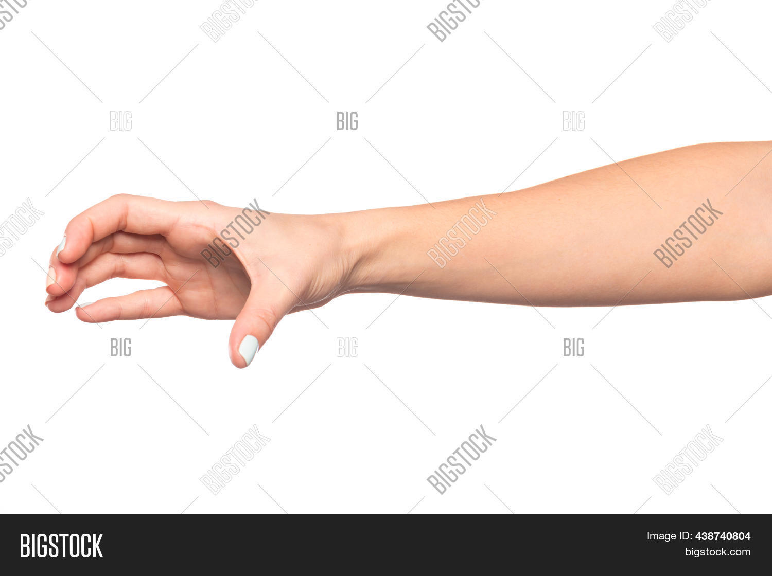 Female Hand Isolated Image & Photo (Free Trial) | Bigstock