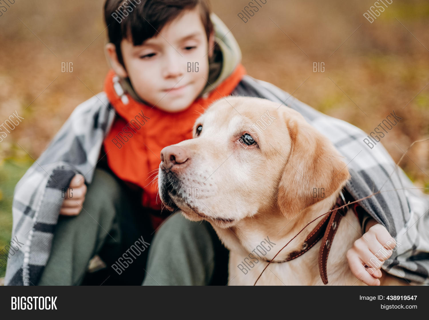 Love Animals. Raising Image & Photo (Free Trial) | Bigstock