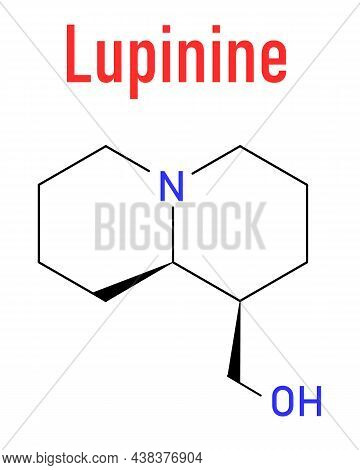 Lupinine Lupin Vector & Photo (Free Trial) | Bigstock