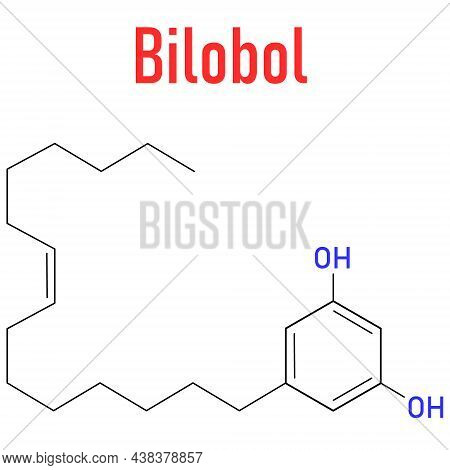 Bilobol Ginkgo Biloba Vector & Photo (Free Trial) | Bigstock