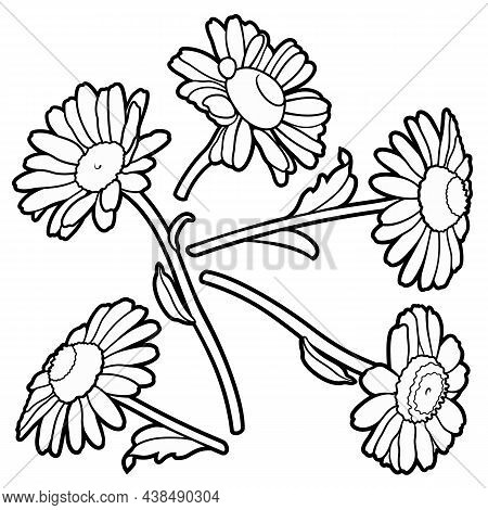 Set Chamomile Cartoon Vector & Photo (Free Trial) | Bigstock