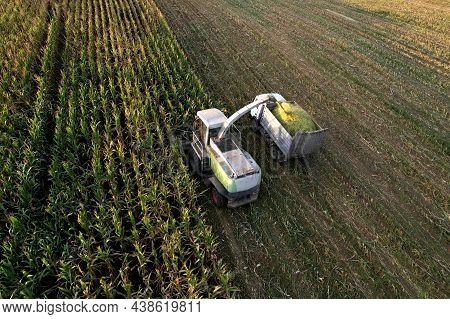 Forage Harvester On Image & Photo (Free Trial) | Bigstock