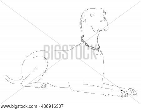 Contour Lying Dog Vector & Photo (Free Trial) | Bigstock
