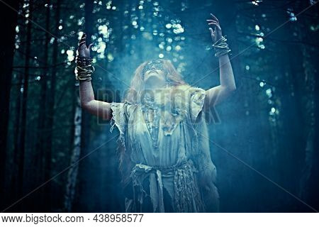 Druid Images, Illustrations & Vectors (Free) - Bigstock