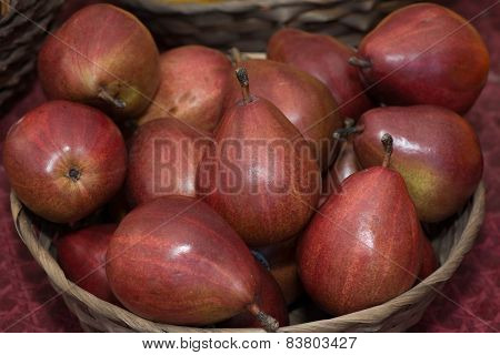 Red Anjou Pears Image & Photo (Free Trial) | Bigstock