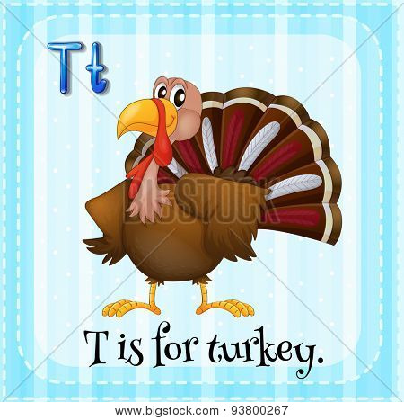 Flashcard Letter T Vector & Photo (Free Trial) | Bigstock