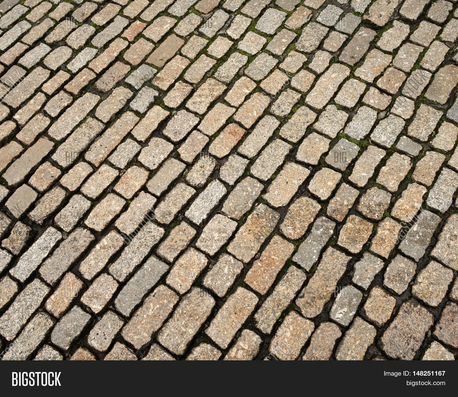 Old English Image & Photo (Free Trial) | Bigstock