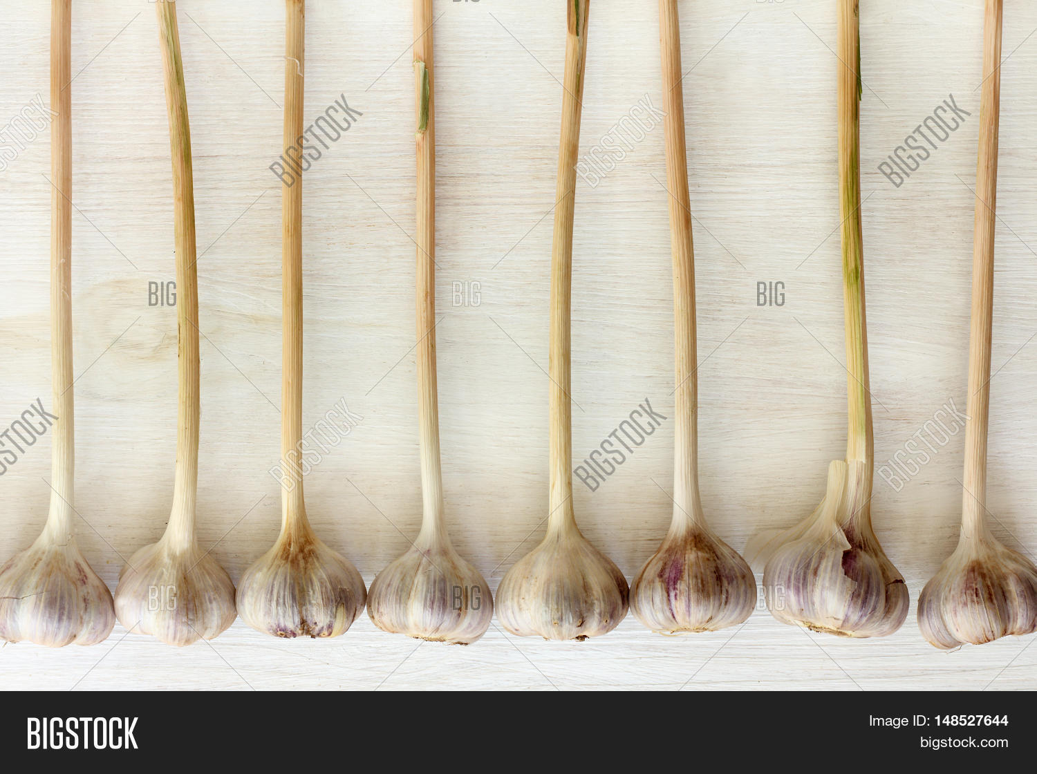 Flat Layout Garlic Image & Photo (Free Trial) | Bigstock