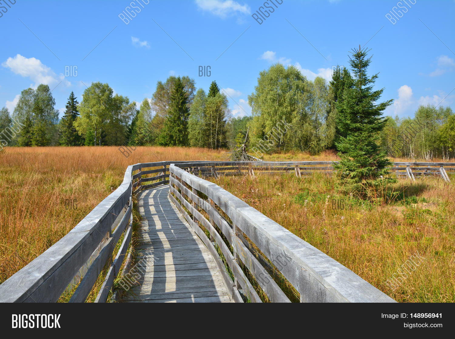 Path Through Peat Bog Image & Photo (Free Trial) | Bigstock