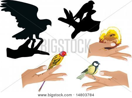 Set Human Hands Birds Vector & Photo (Free Trial) | Bigstock