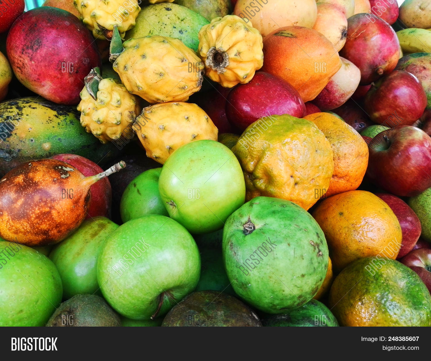 Set Exotic Colorful Image & Photo (Free Trial) | Bigstock