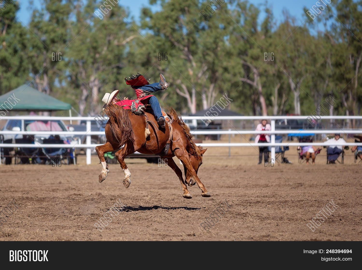 Cowboy Riding Bucking Image & Photo (Free Trial) | Bigstock