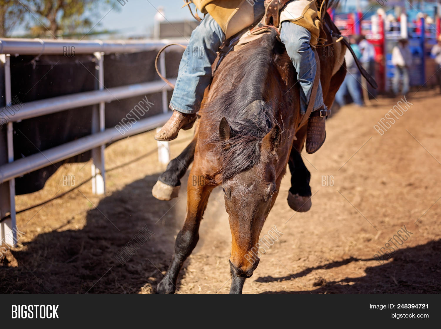 Cowboy Riding Bucking Image & Photo (Free Trial) | Bigstock