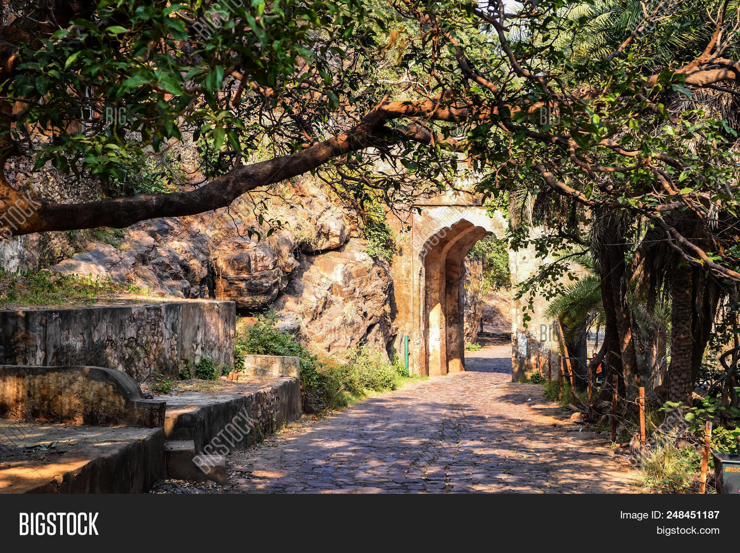 Scenic View Road Image & Photo (Free Trial) | Bigstock