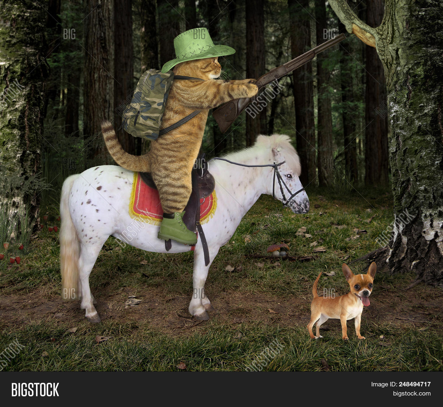 Cat Cowboy Rifle Rides Image & Photo (Free Trial) | Bigstock