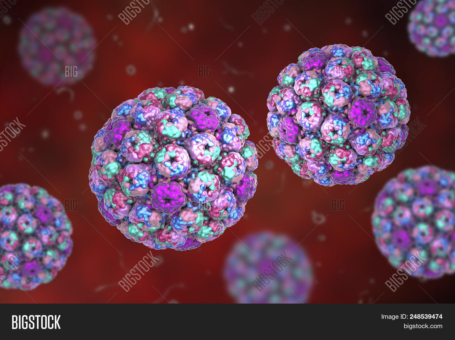 Polyomavirus, Dna Image & Photo (Free Trial) | Bigstock