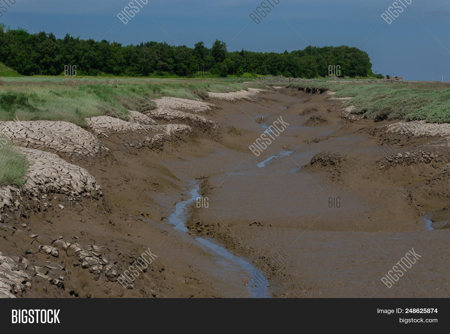 Cracked Dried Mud Image & Photo (Free Trial) | Bigstock