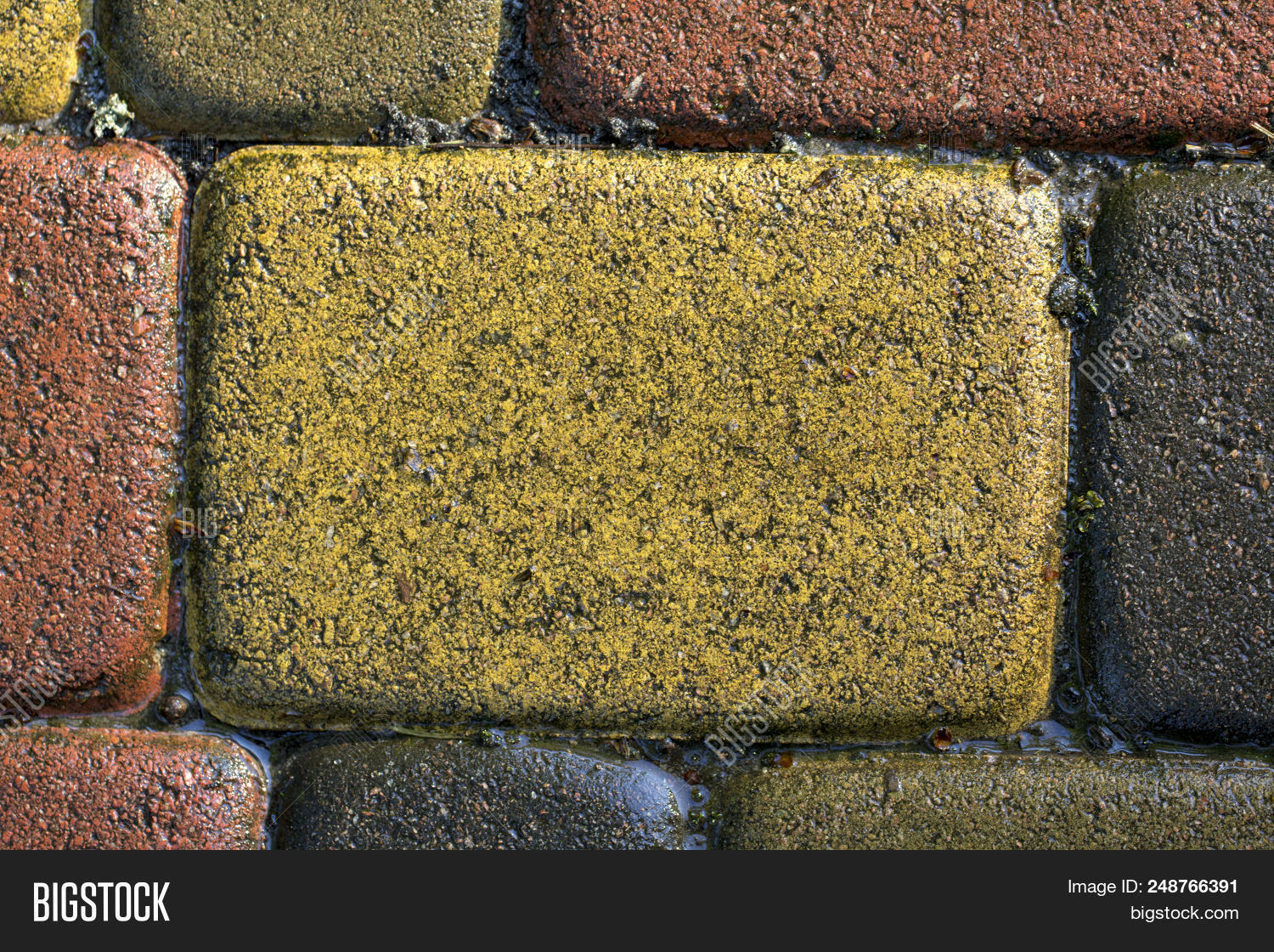 Sample Concrete Paving Image & Photo (Free Trial) | Bigstock
