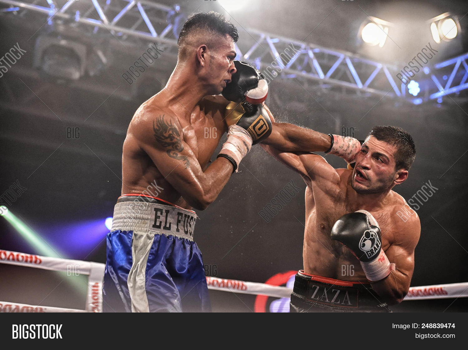 Unidentified Boxers Image & Photo (Free Trial) | Bigstock