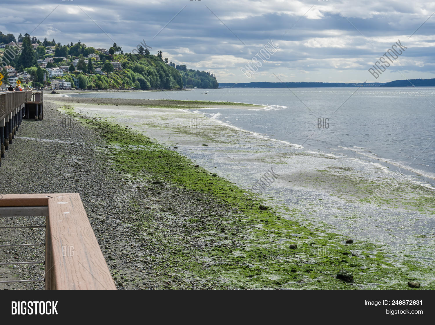 View Boardwalk Image & Photo (Free Trial) | Bigstock