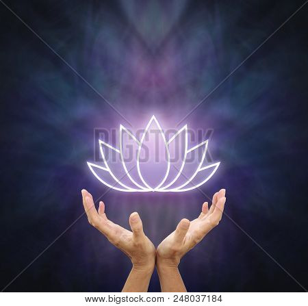 Symbolic Lotus Healing Image & Photo (Free Trial) | Bigstock