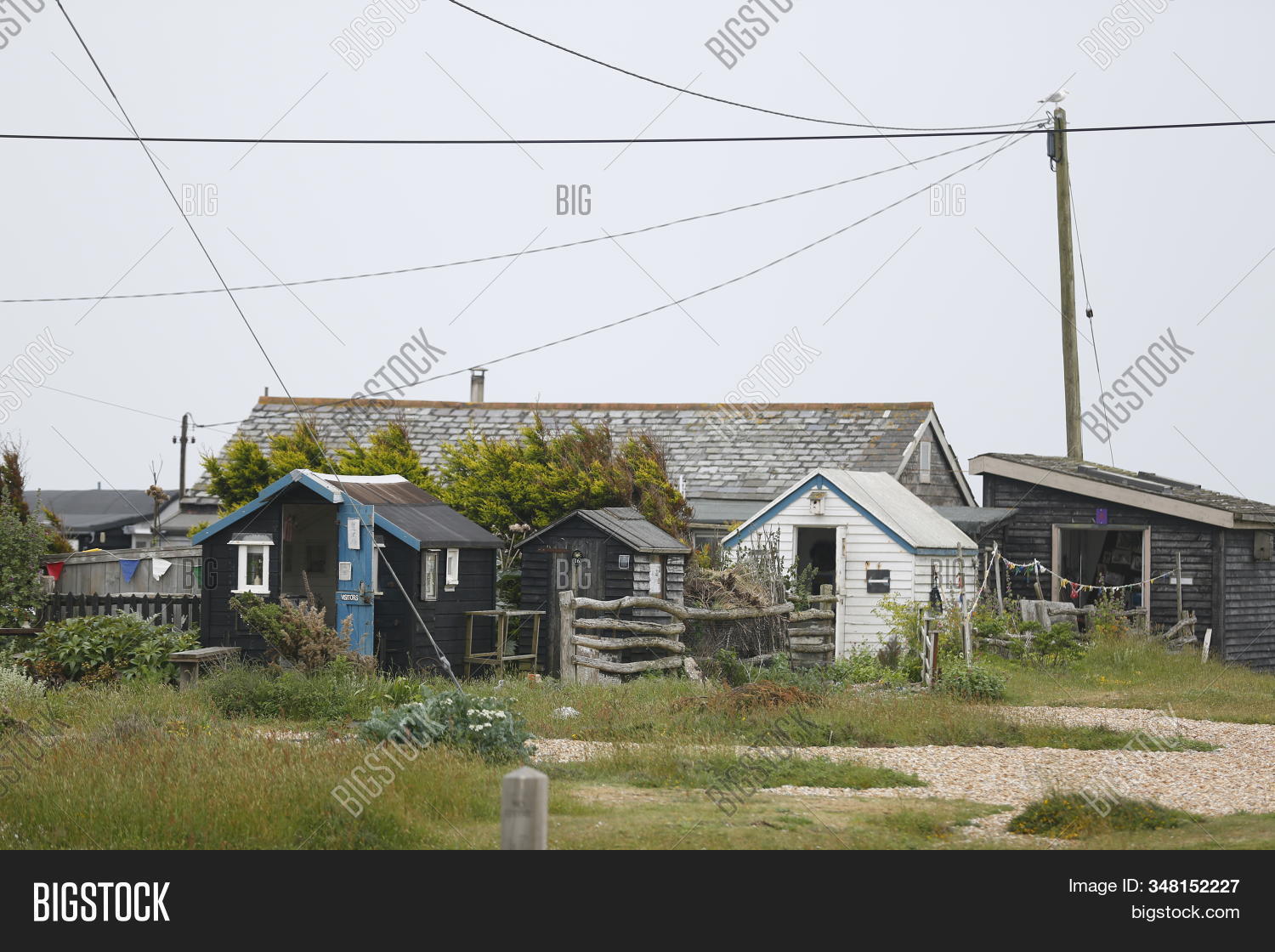 Shingle Beach Image & Photo (Free Trial) | Bigstock