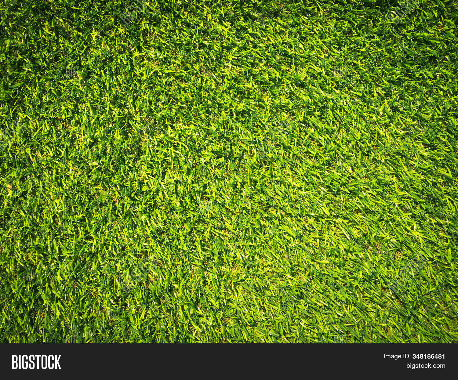 Modern Green Lawn Image & Photo (Free Trial) | Bigstock