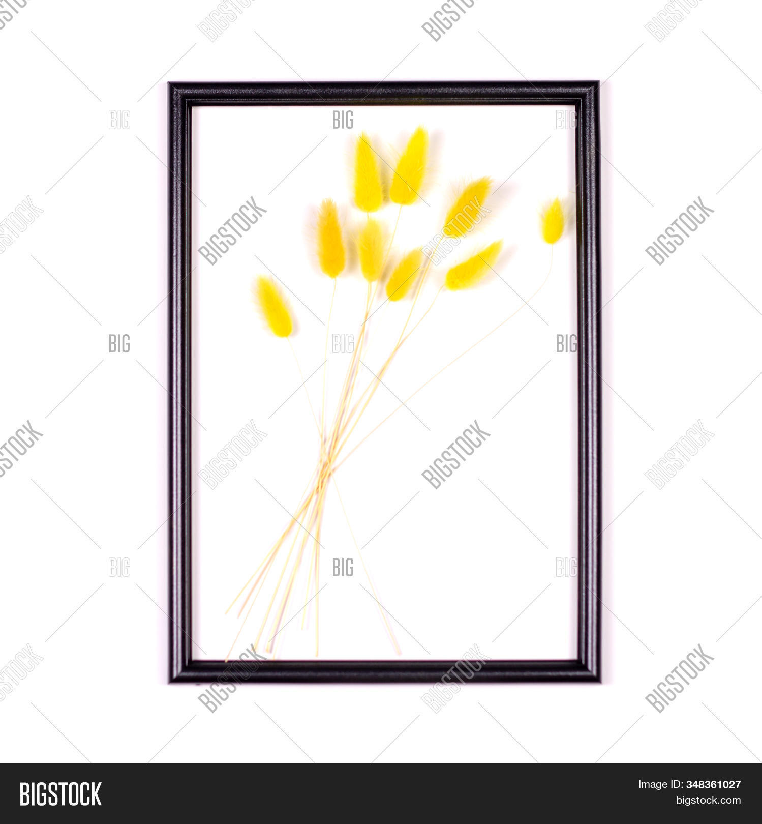 Decorative Composition Image & Photo (Free Trial) | Bigstock
