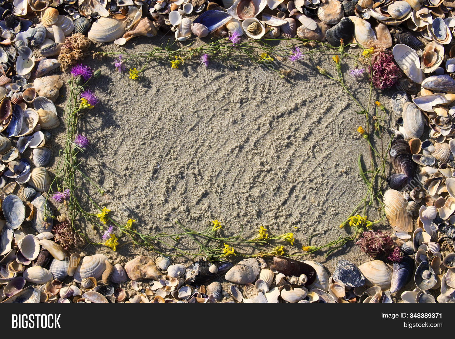 Marine Frame. Frame Image & Photo (Free Trial) | Bigstock