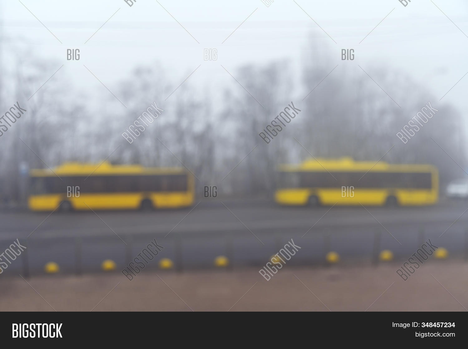 Yellow Buses Fog. Image & Photo (Free Trial) | Bigstock