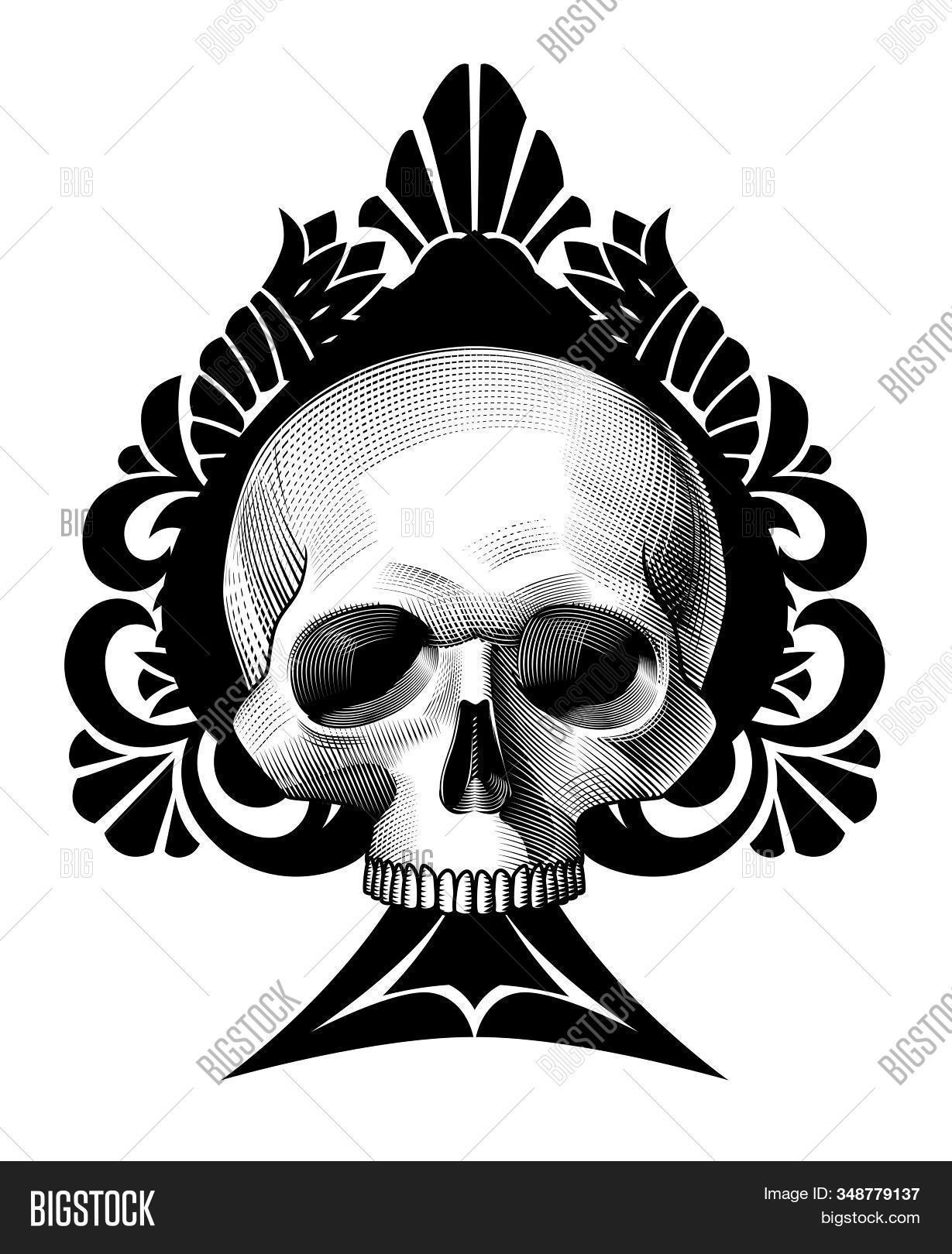 Human Skull Full Face Image & Photo (Free Trial) | Bigstock