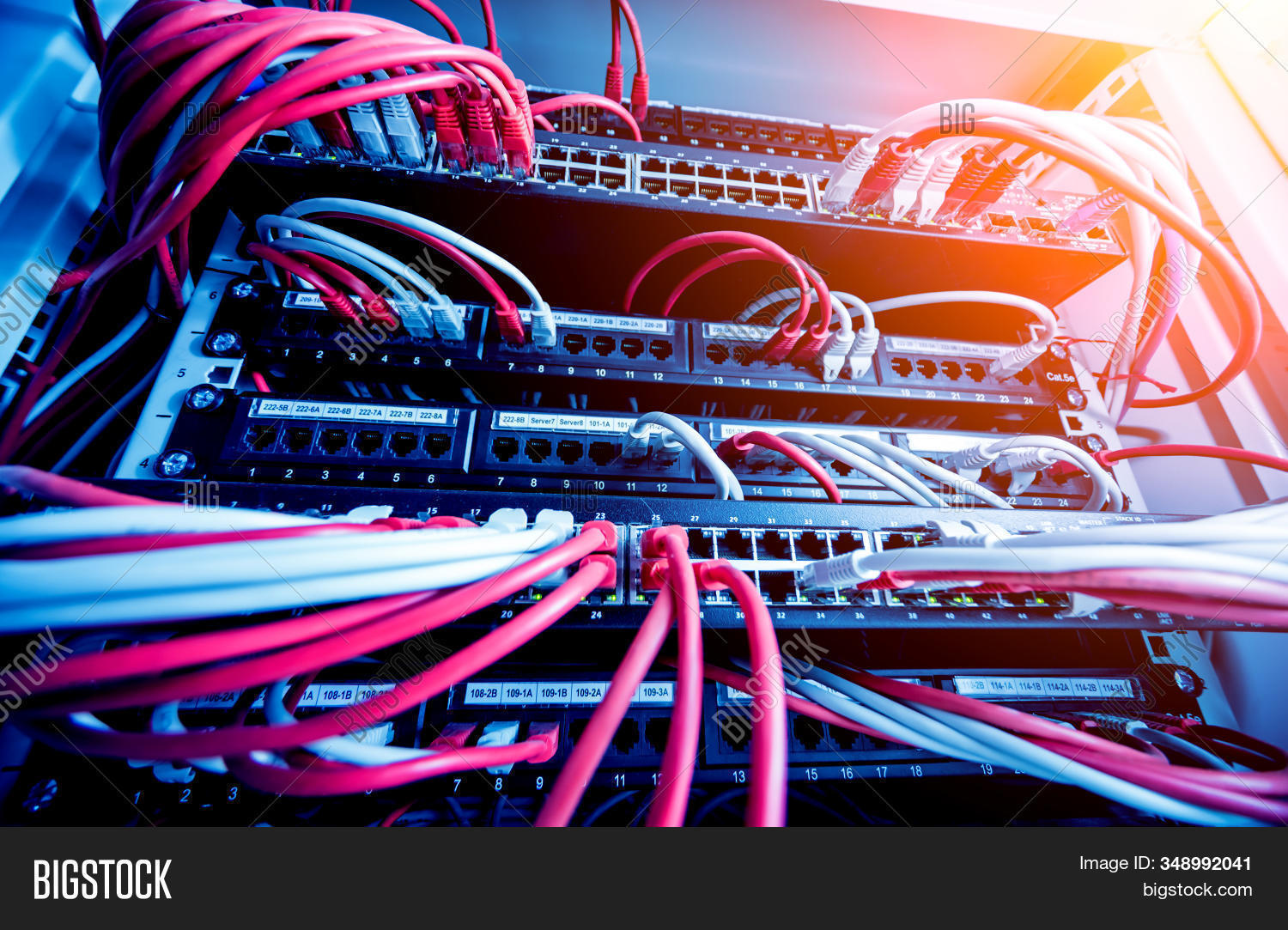 Network Switch Image & Photo (Free Trial) | Bigstock