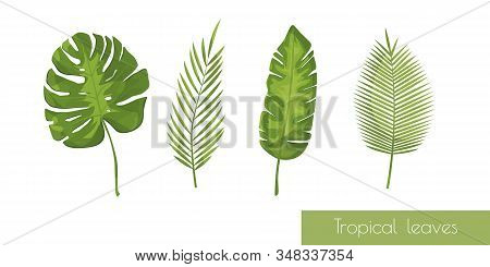 Vector Realistic Vector & Photo (Free Trial) | Bigstock