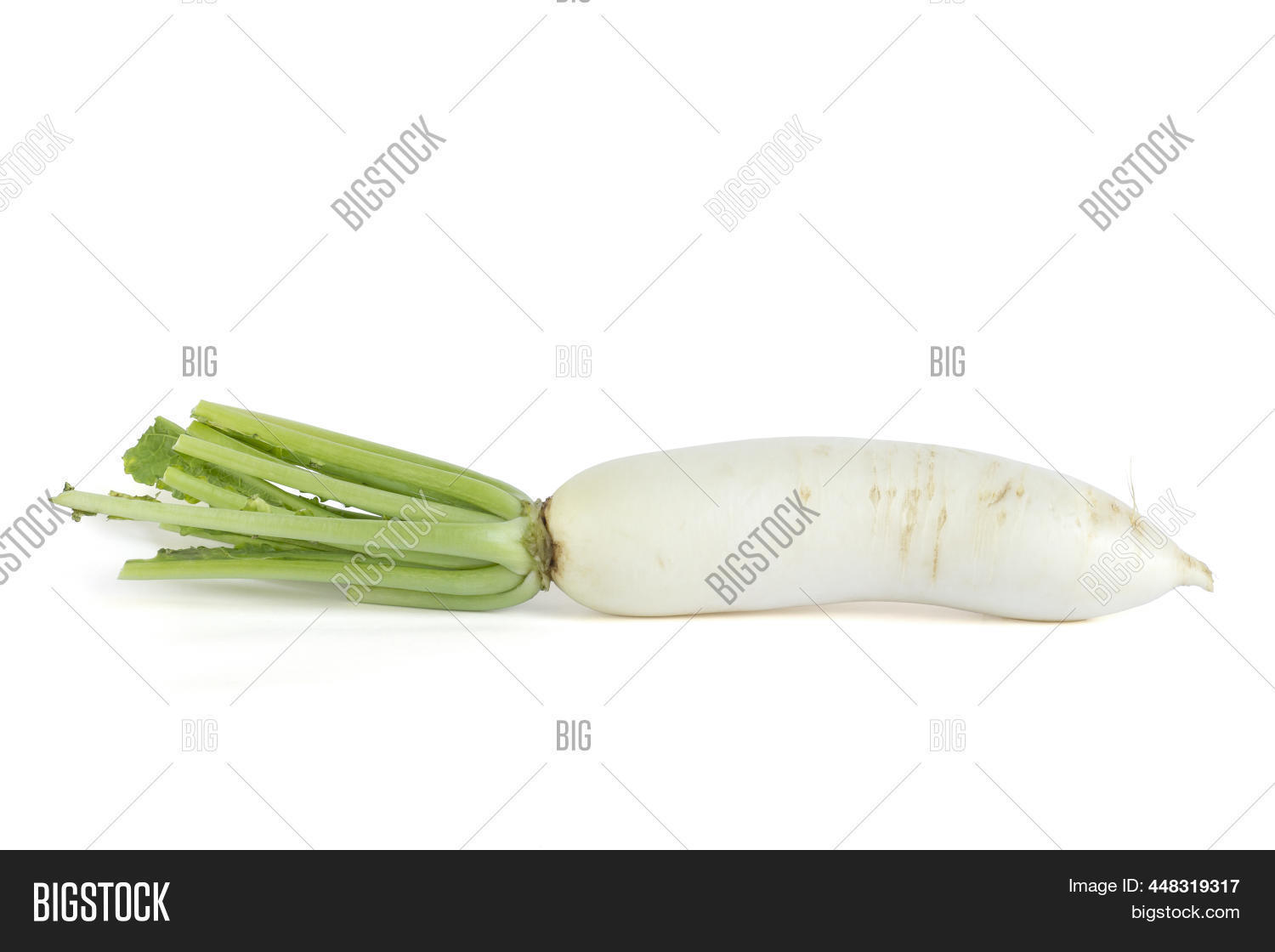 Fresh Daikon Radish Image & Photo (Free Trial) | Bigstock