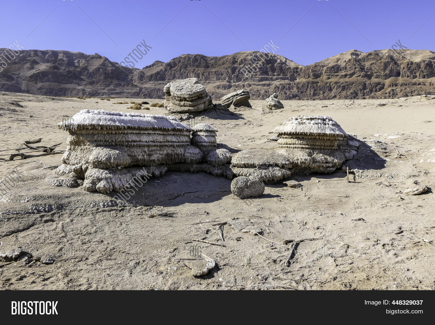 Ecological Catastrophe Image & Photo (Free Trial) | Bigstock