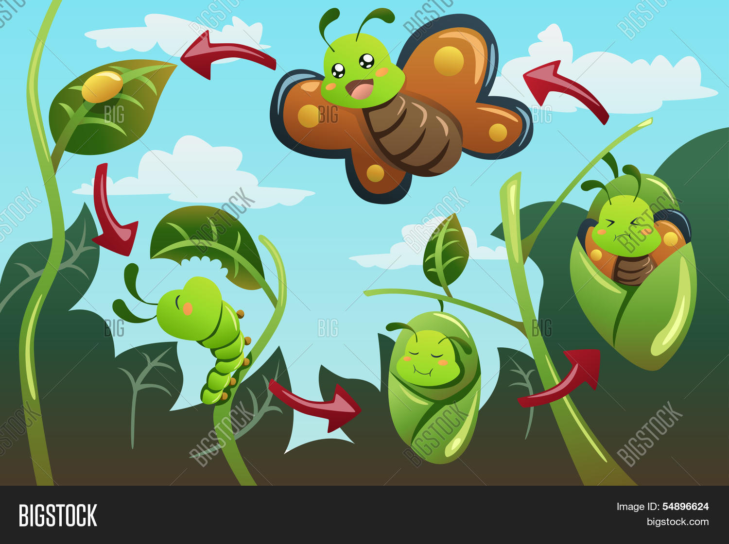 Life Cycle Butterfly Vector & Photo (Free Trial) | Bigstock