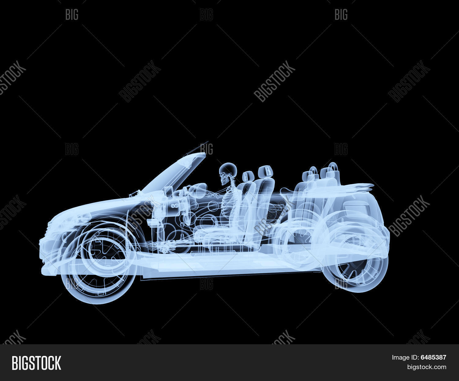 Xray Skeleton Driving Image & Photo (Free Trial) | Bigstock
